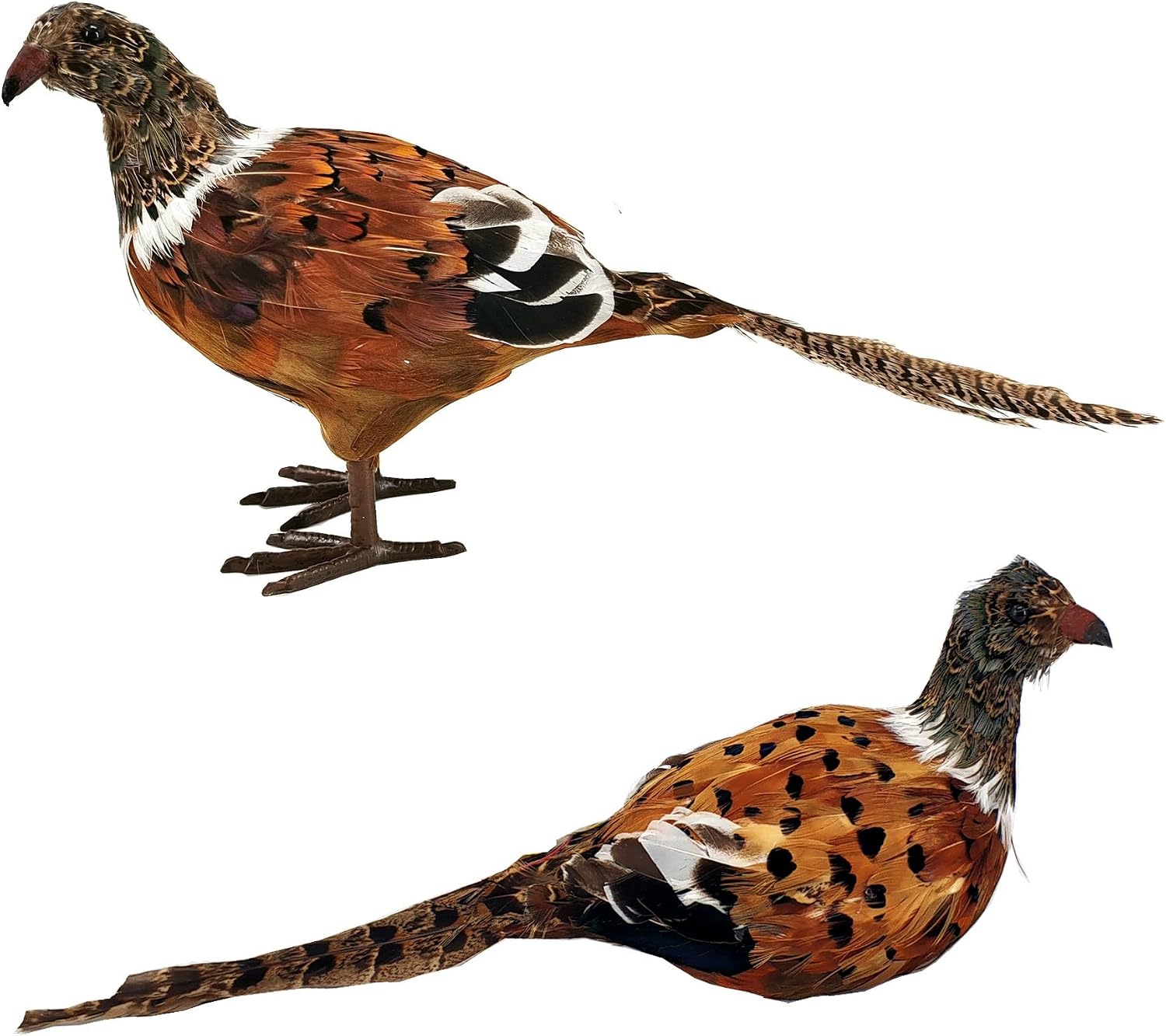 Amazon.com: Nature Vibe 13 Inches Feathered Pheasant Decor, Set of 2 ...