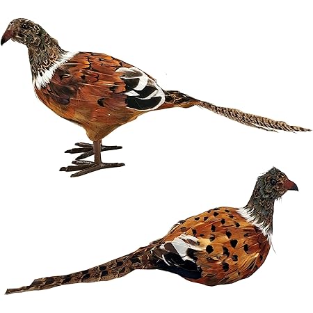 Amazon.com: Nature Vibe 13 Inches Feathered Pheasant Decor, Set of 2 ...