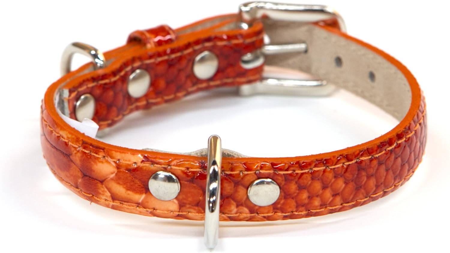 Amazon.com : Bluemax Genuine Leather Patent Snake Dog Collar, 3/4-Inch ...