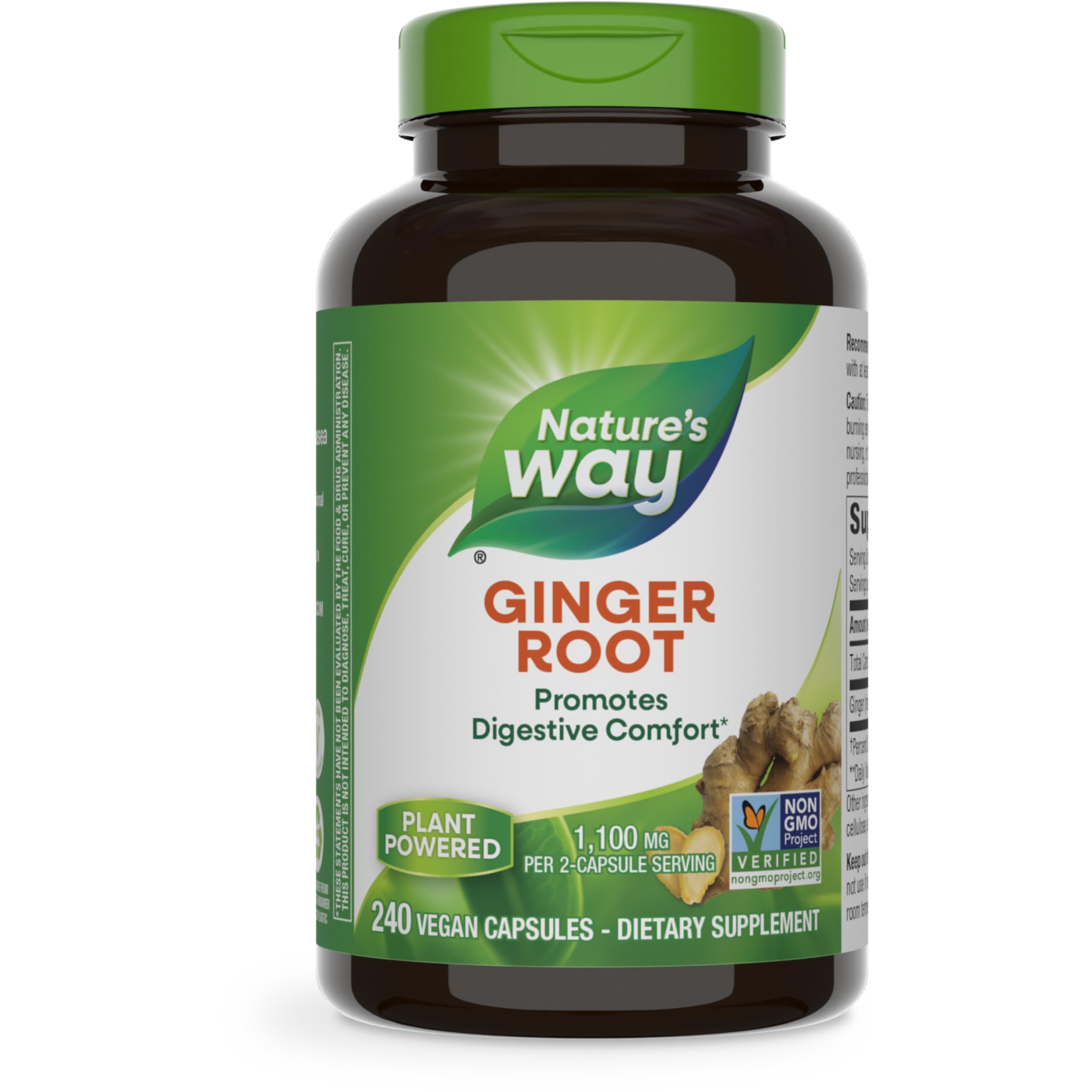 Top 5 Best Ginger Supplements in [year] | Kathy's Vegan Kitchen