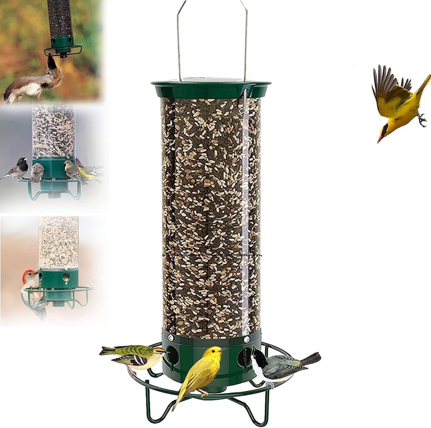 Amazon.com : Squirrel Proof Bird Feeders Spinner, Hanging Bird Feeders ...