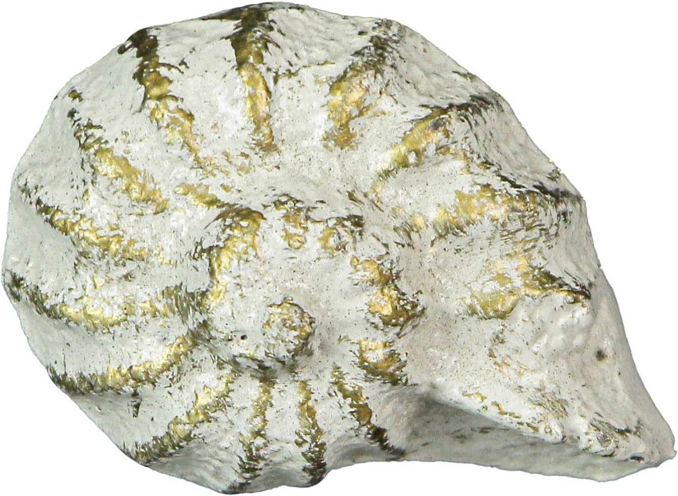 Zeckos Set of 6 Rustic Antique White Finish Cast Iron Nautilus Shell ...