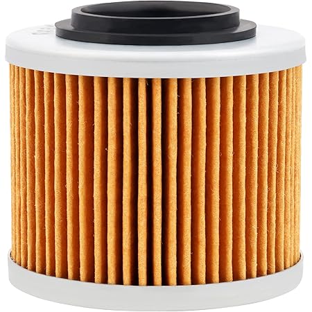 Amazon.com: Road Passion High Performance Oil Filter Replacement for ...