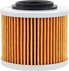 Amazon.com: Road Passion High Performance Oil Filter Replacement for ...