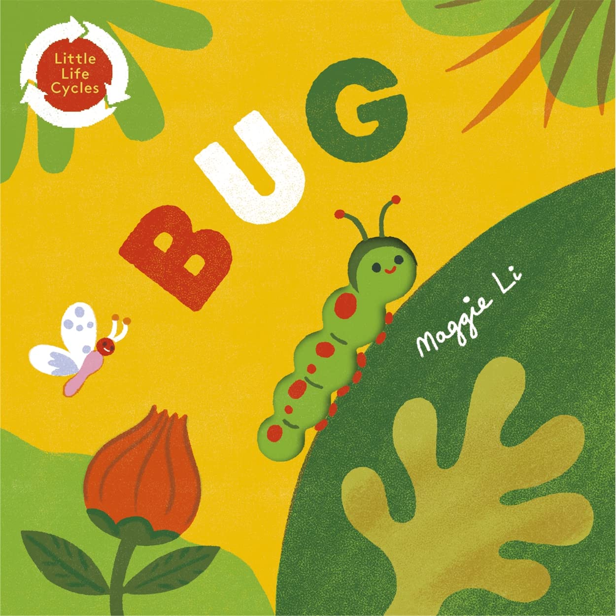 Little Life Cycles: Bug : Li, Maggie, Li, Maggie: Amazon.co.uk: Books
