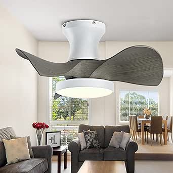 Amazon.com: UOJ 22" Ceiling Fan with Lights and Remote, Small Quiet ...