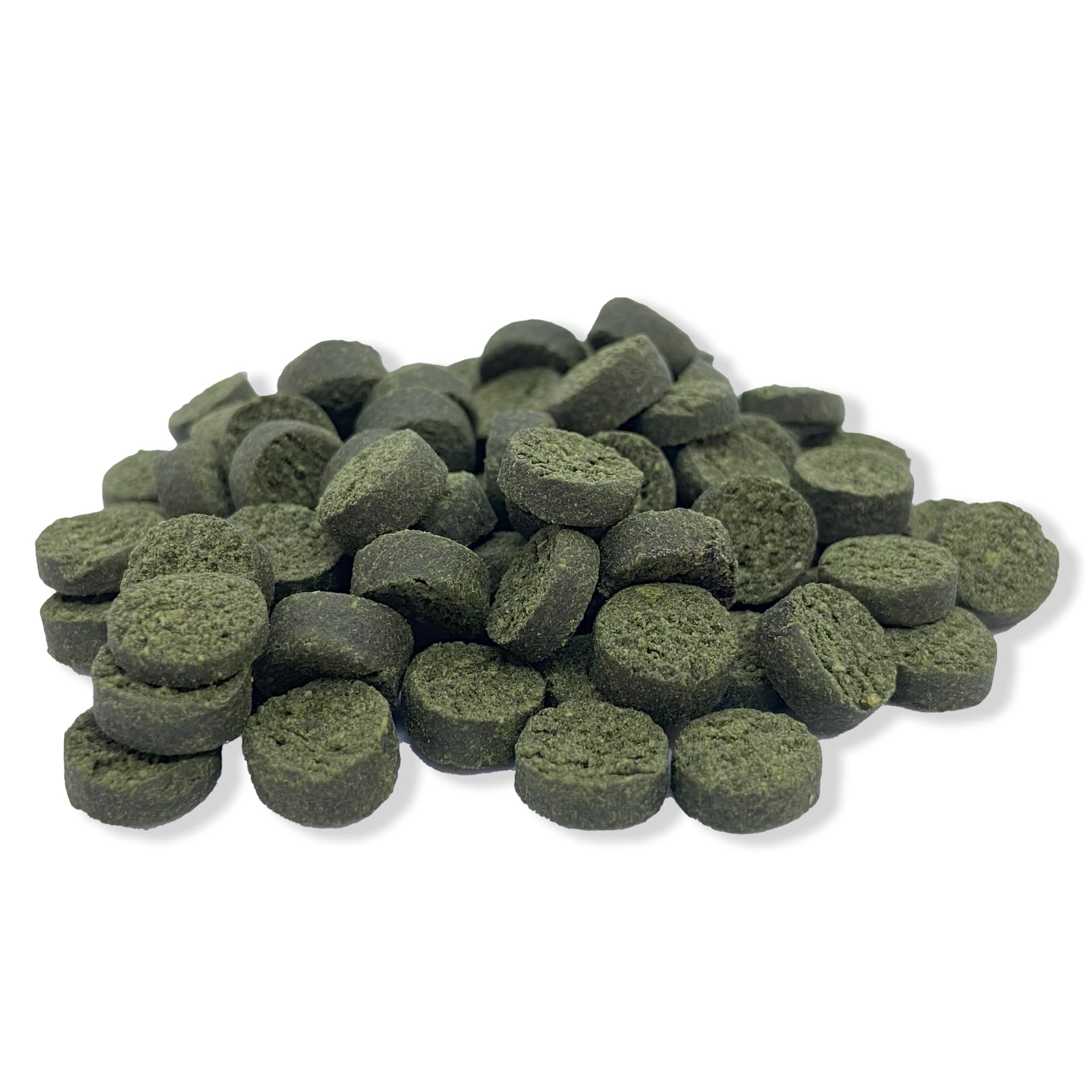 Snapklik.com : Plecoceramics Pleco Wafers Universal Fish Food For Most ...