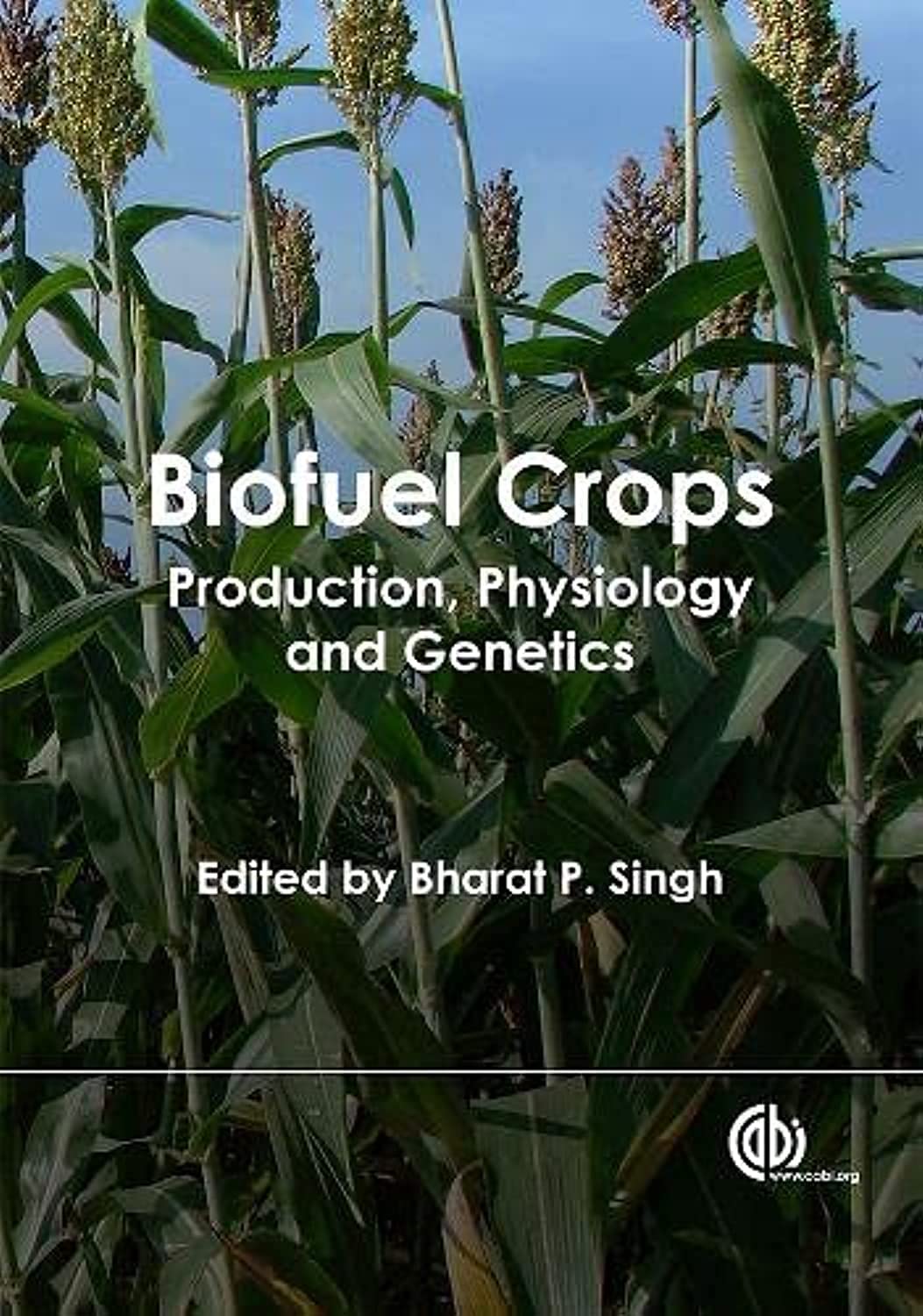 Amazon | Biofuel Crops: Production, Physiology and Genetics | Singh ...