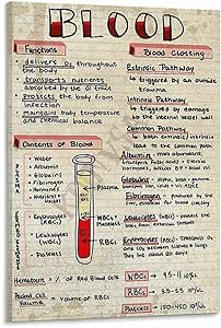 Amazon.com: Phlebotomy Knowledge Poster Medical Reference Guide Poster ...