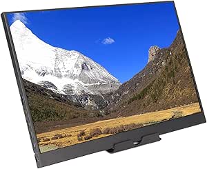 Amazon.com: ASHATA External Laptop Monitor, Portable Monitor 14 Inch 2 ...