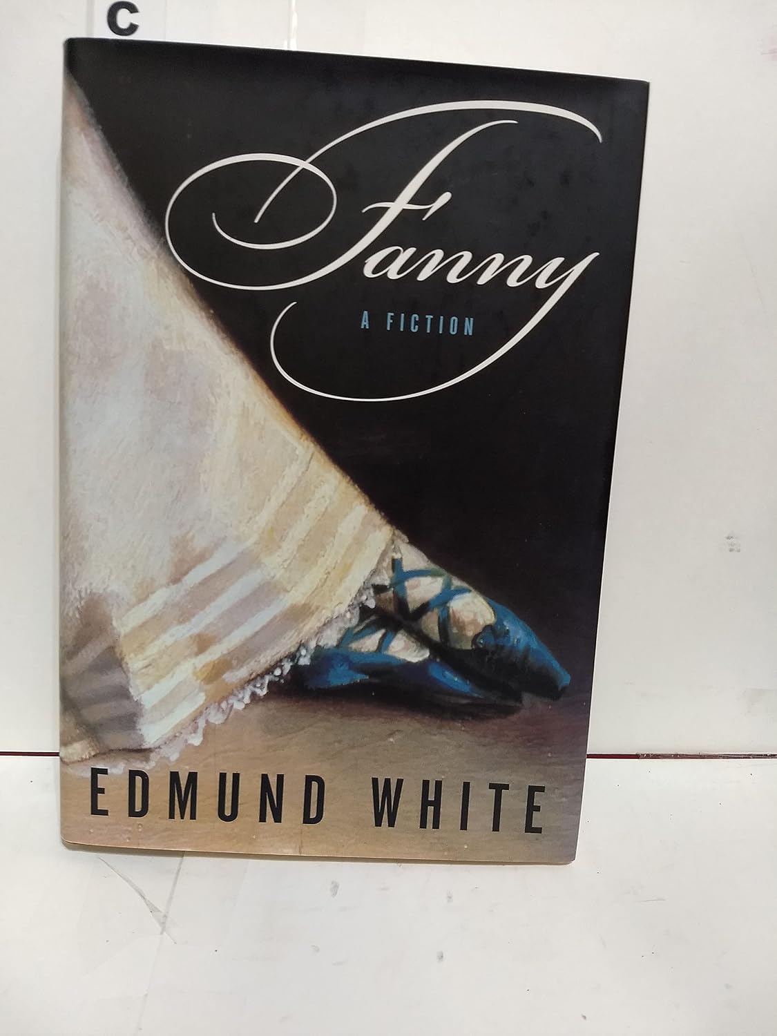 Amazon.com: Fanny: A Fiction: 9780060004842: White, Edmund: Books