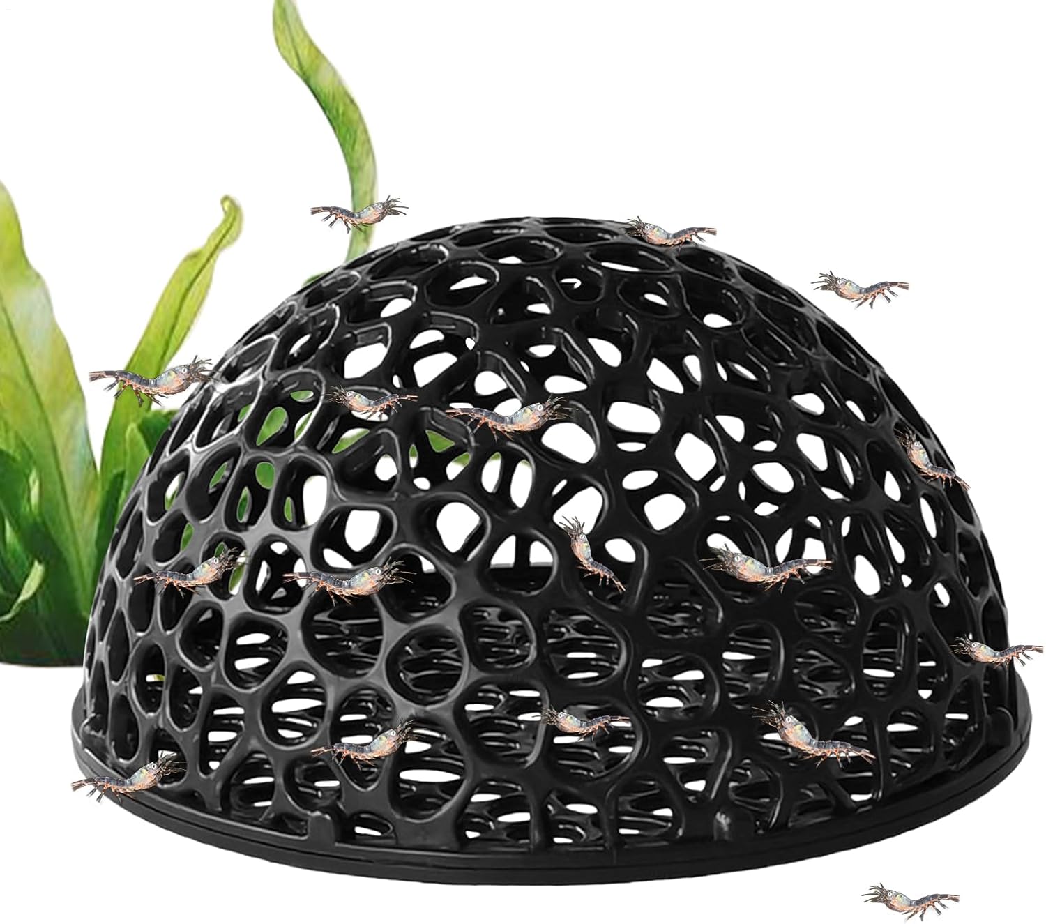 Aquarium Hides | Fish Cave for Aquarium - Hollow Hiding House Shrimp ...