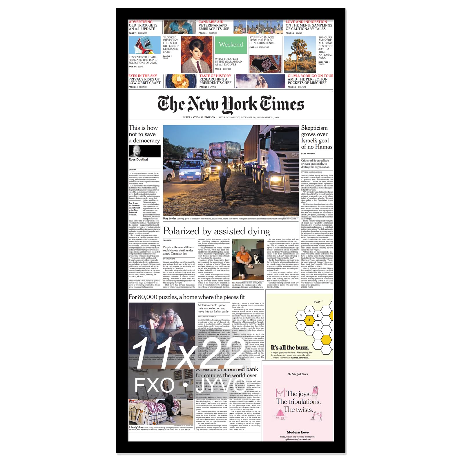 Amazon.com - Fxojyvo 11x22 Newspaper Frame, Display 11 x 22 Inch ...