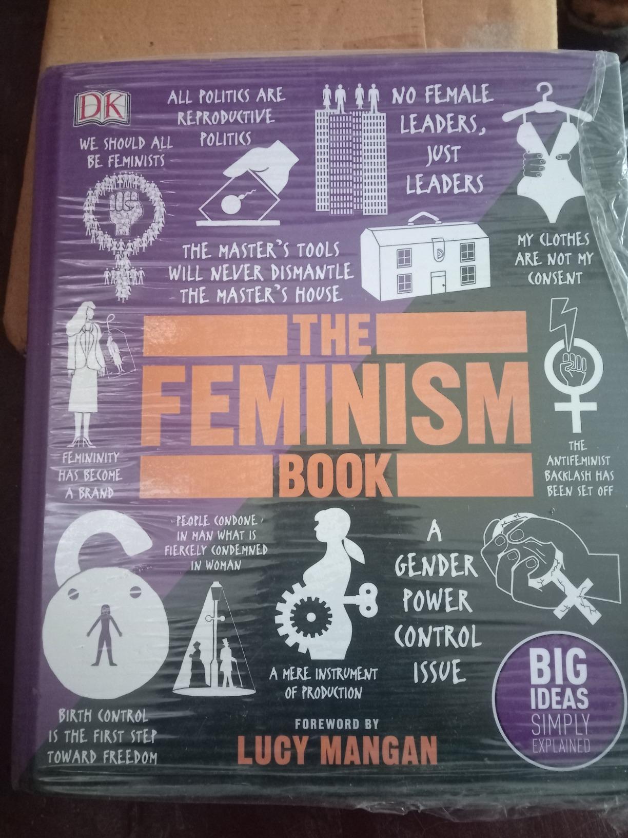 The Feminism Book ( Big Ideas) : DK, Mangan, Lucy: Amazon.in: Books