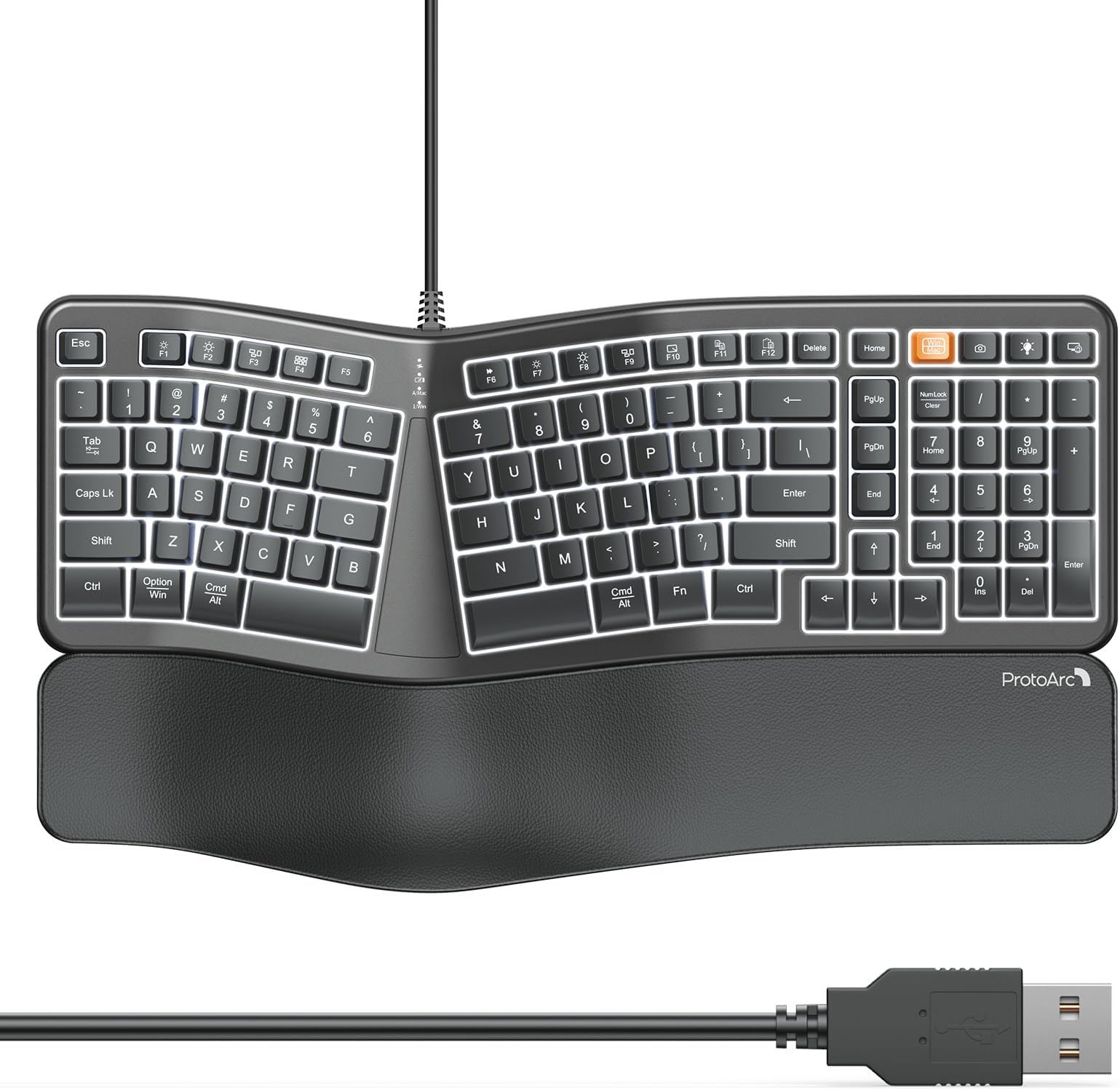 Amazon.com: ProtoArc Backlit Wired Ergonomic Keyboard, USB Wired ...