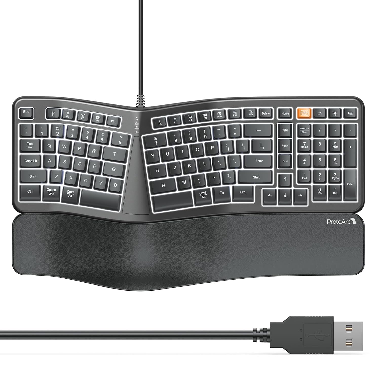 Amazon.in: Buy ProtoArc Backlit Wired Ergonomic Keyboard, USB Wired ...