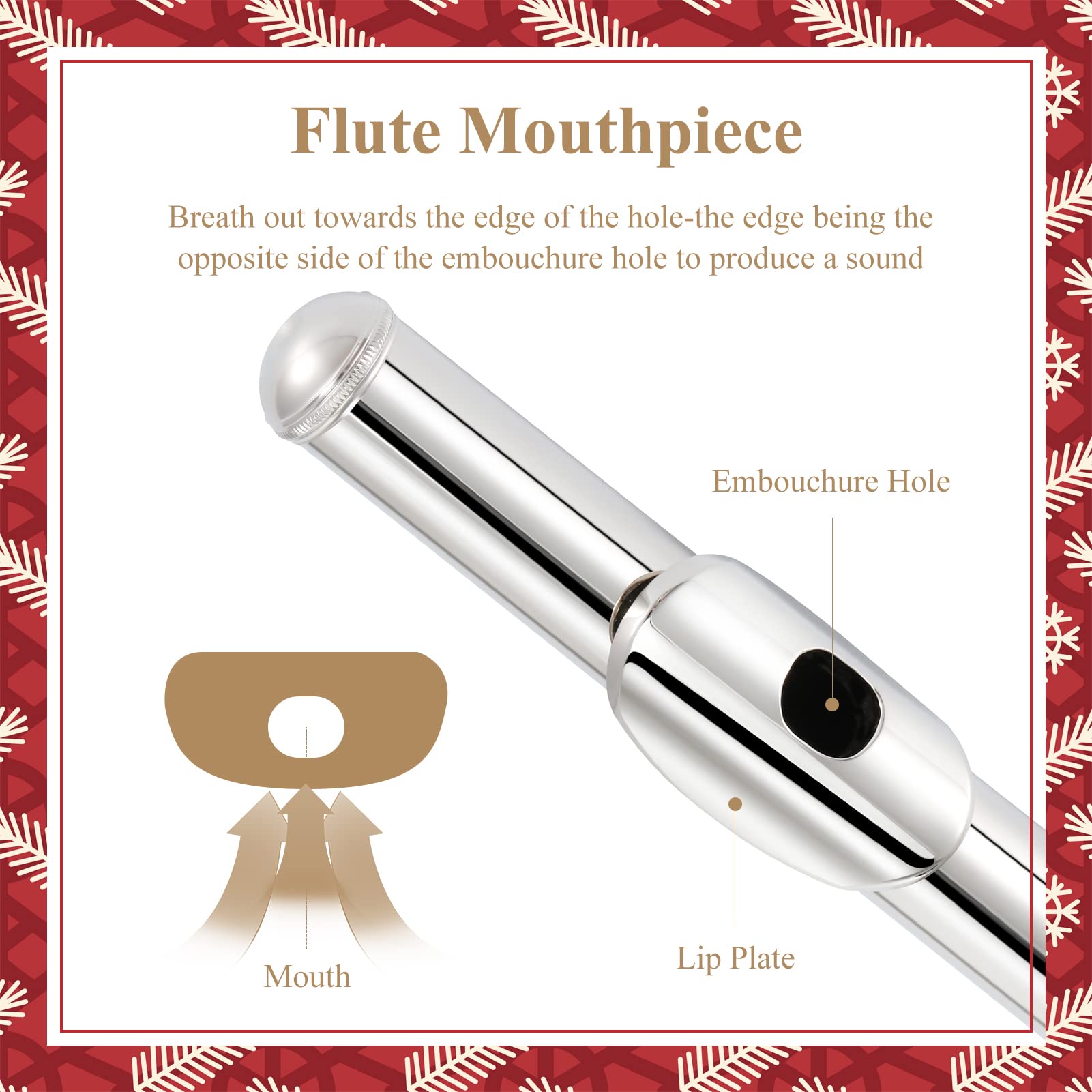 Flautas Eastar C Instrumento musical de flauta C con o...B07F739LPR ...