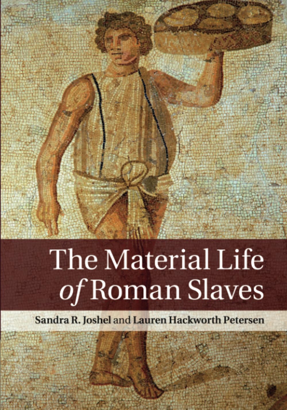 Amazon.com: The Material Life of Roman Slaves: 9780521139571: Joshel ...