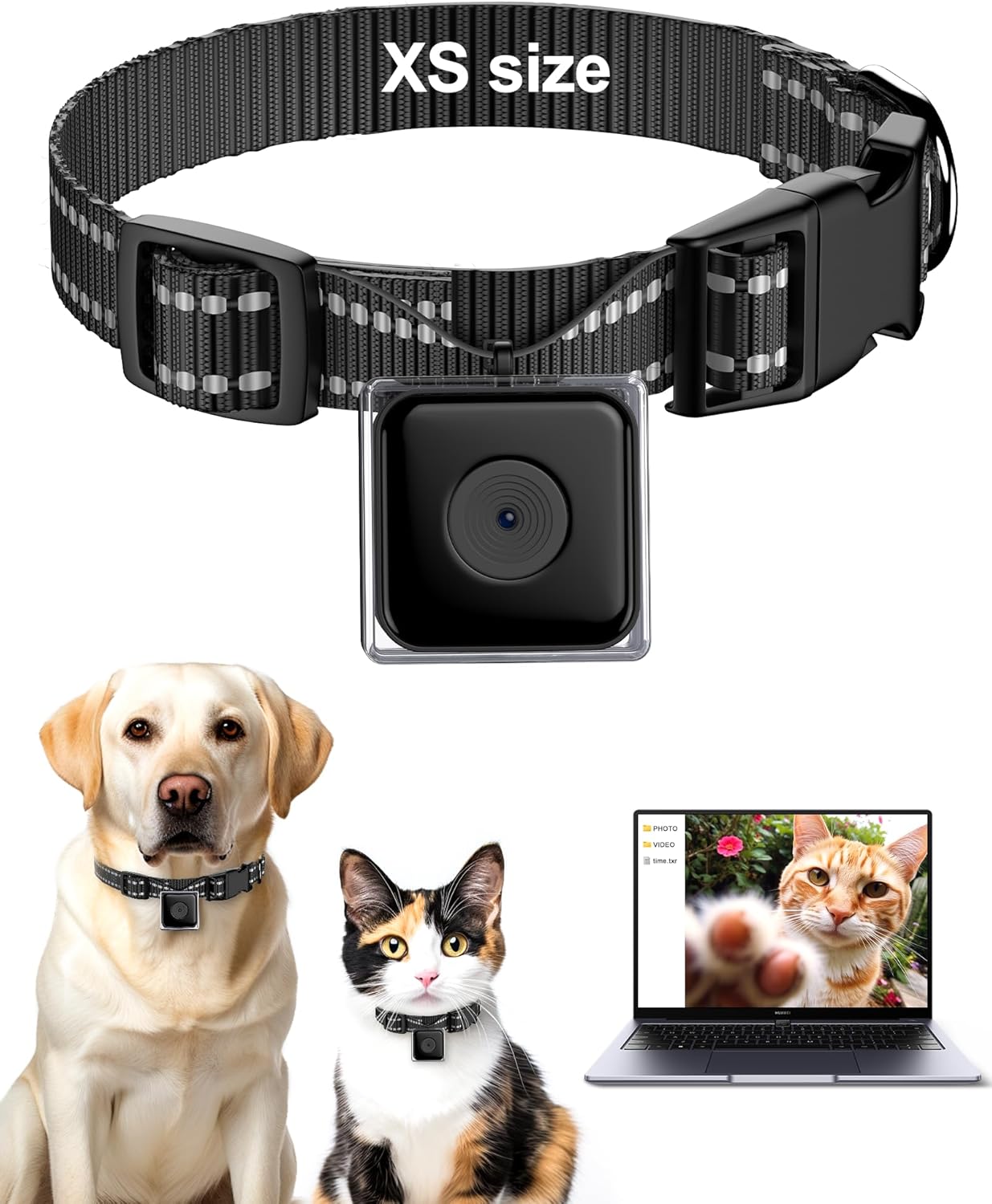 Amazon.com: LuminiCam Cat Camera Collar, No App/No WiFi,1080P Video ...