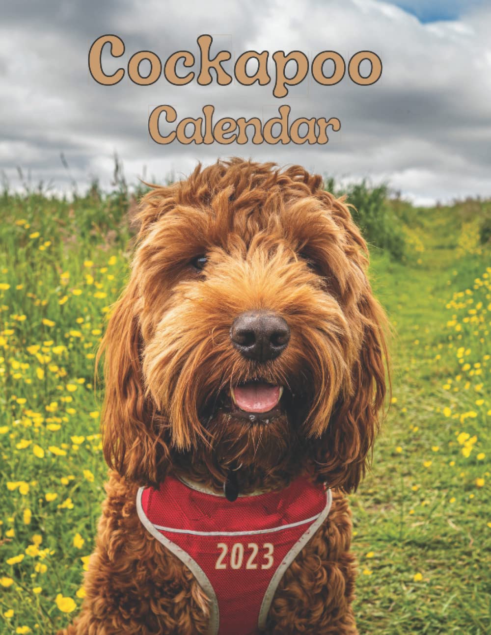 Cockapoo Calendar 2023: September 2022 to December 2023 Monthly Weekly ...