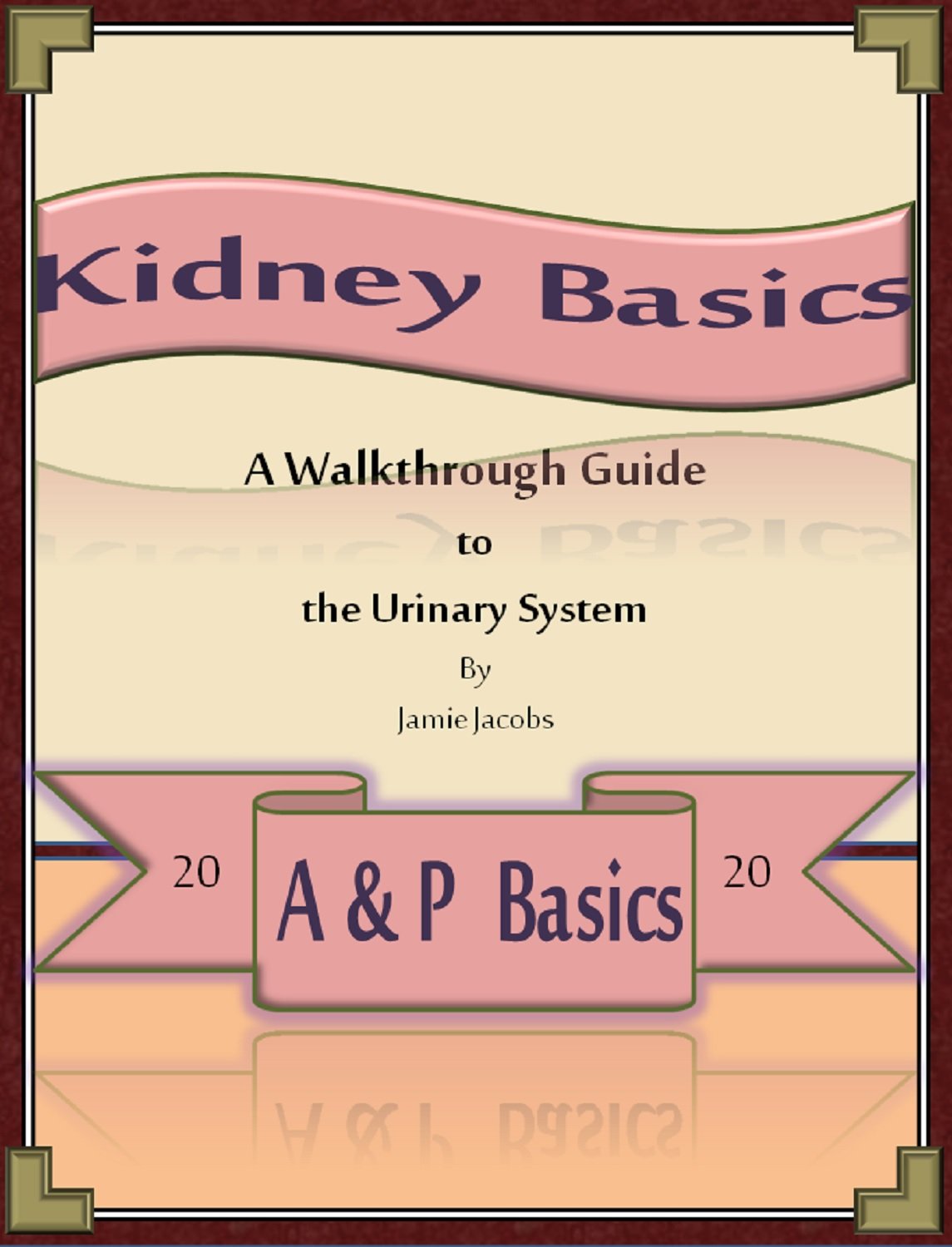 Buy Kidney Basics: A Walkthrough Guide to the Urinary System (A&P ...