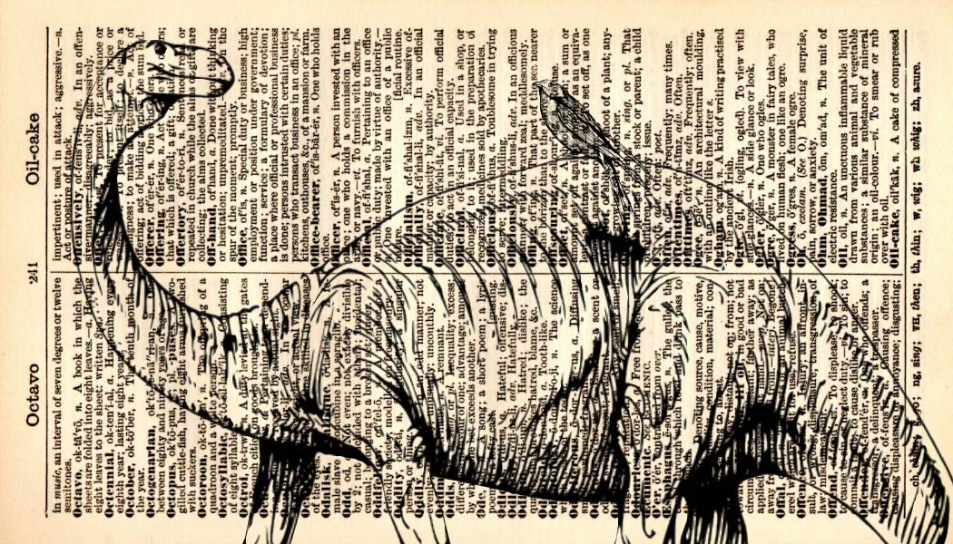Amazon.com: Brontosaurus Art Print - Brontosaurus Illustration ...