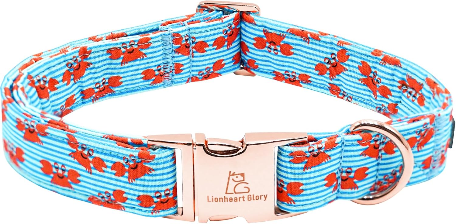 Amazon.com : Lionheart glory Dog Collar Blue Stripe Dog Collars for ...