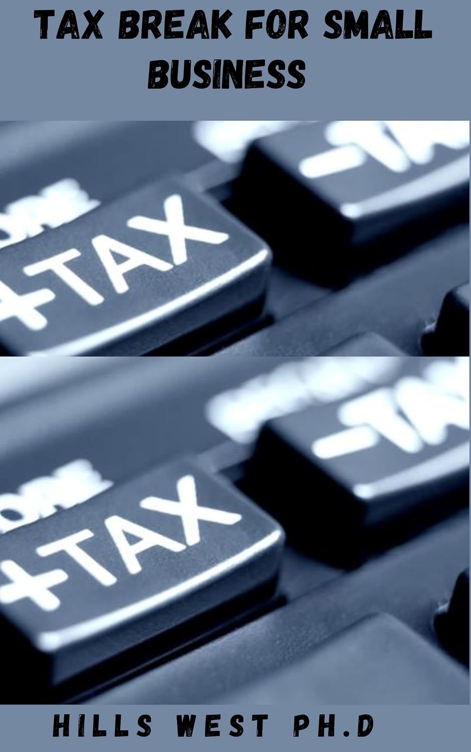 Amazon.com: TAX BREAK FOR SMALL BUSINESS : Complete Guide To Help You ...