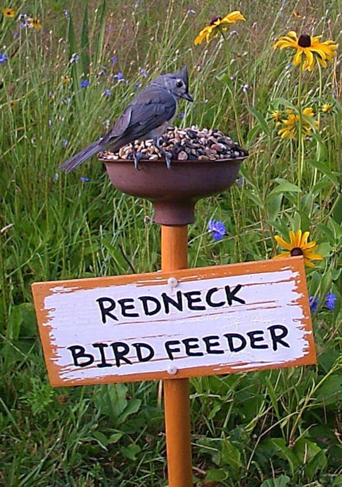 Redneck Bird Feeder Signs Sick Birds Prompt Removal Of Bird Feeders At