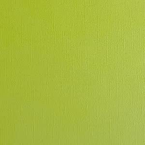 Amazon.com : Chartreuse—12x12 Textured Cardstock | 80lb Textured Green ...
