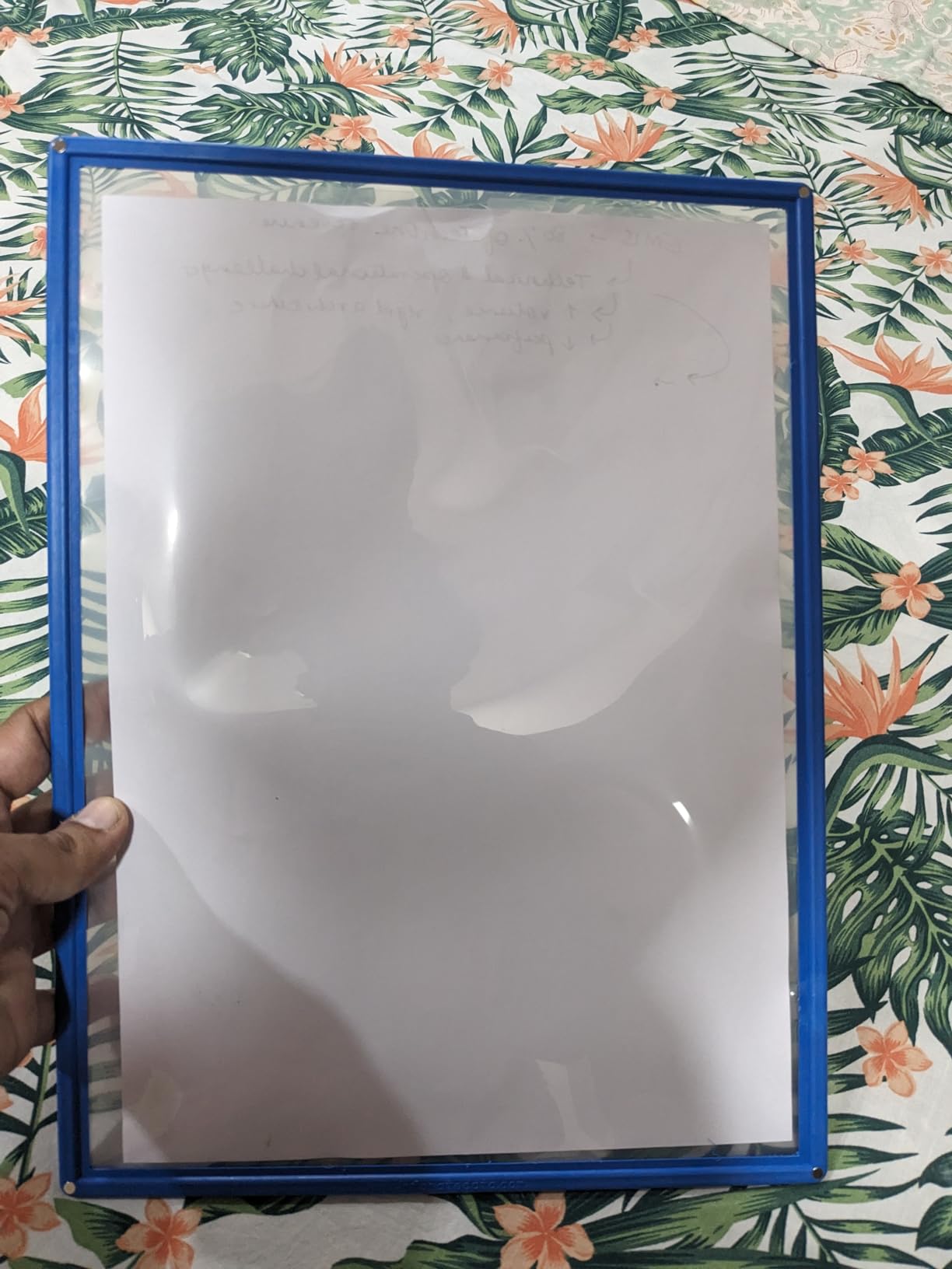 Shining Zon A4 Paper Magnetic Display Pocket File Folder (Pack of 1 ...