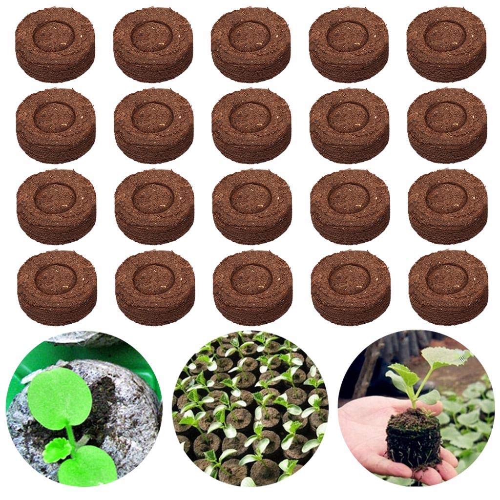 Pizies 20pcs 30mm Seed Starting Plugs Pallet Seedling Soil Block ...