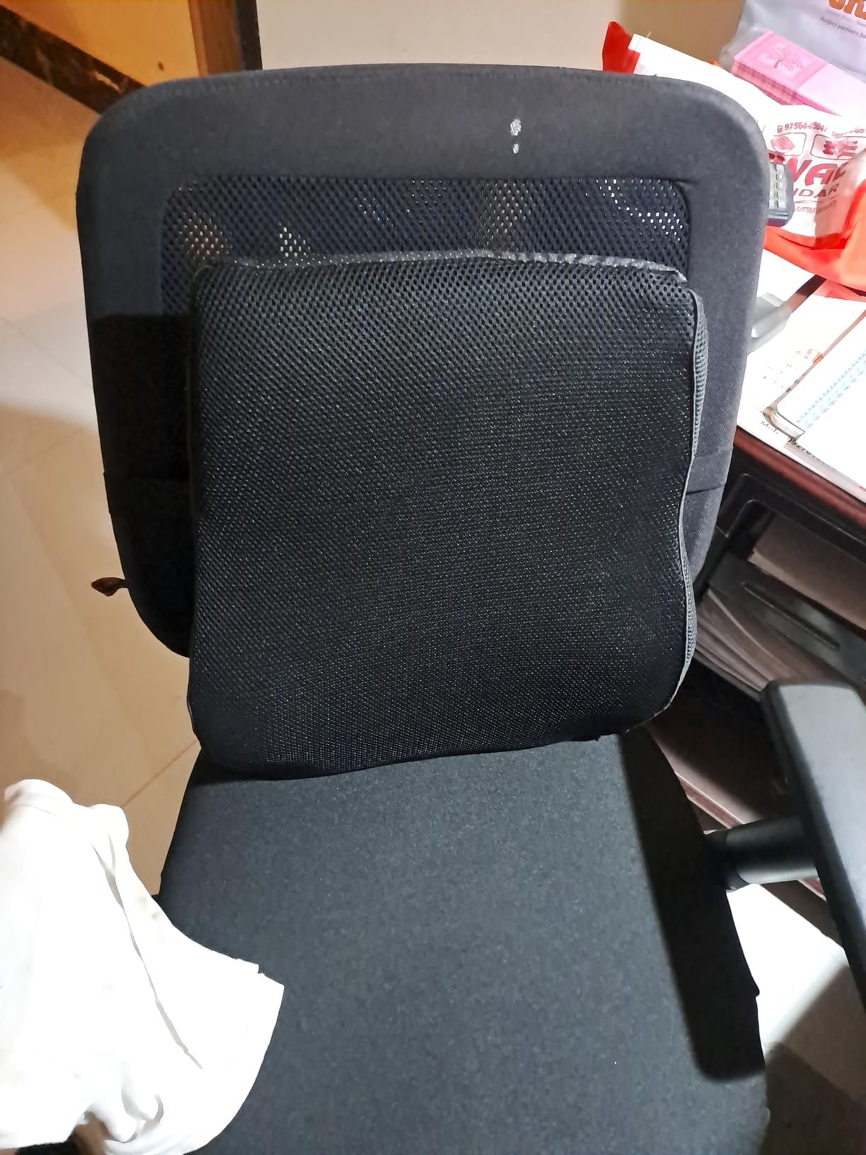9villa Orthopedic Memory Foam Long Lumbar for Backrest with Strap for ...
