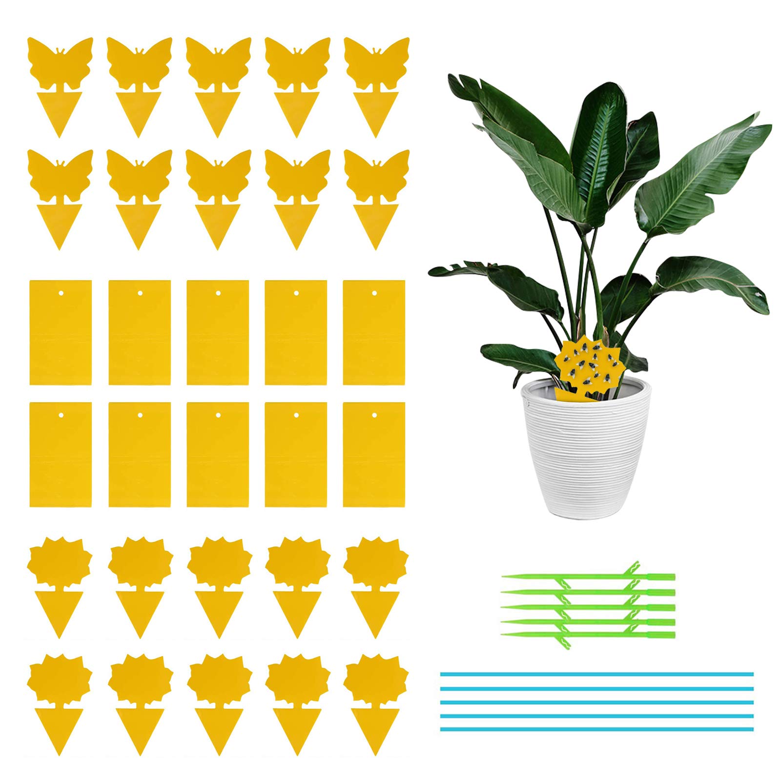 Buy Traps, 40 Pieces Sticky Fly Traps Mixed-Style Yellow Sticker with ...