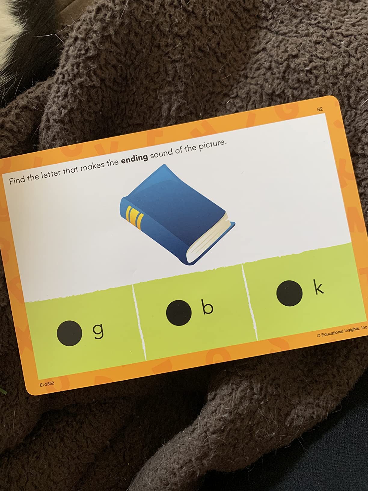 $7/mo - Finance Educational Insights Hot Dots Jr. Beginning Phonics ...