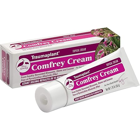 Amazon.com : OrganHerb Organic Comfrey Salve (Gavez) 4 oz : Health ...