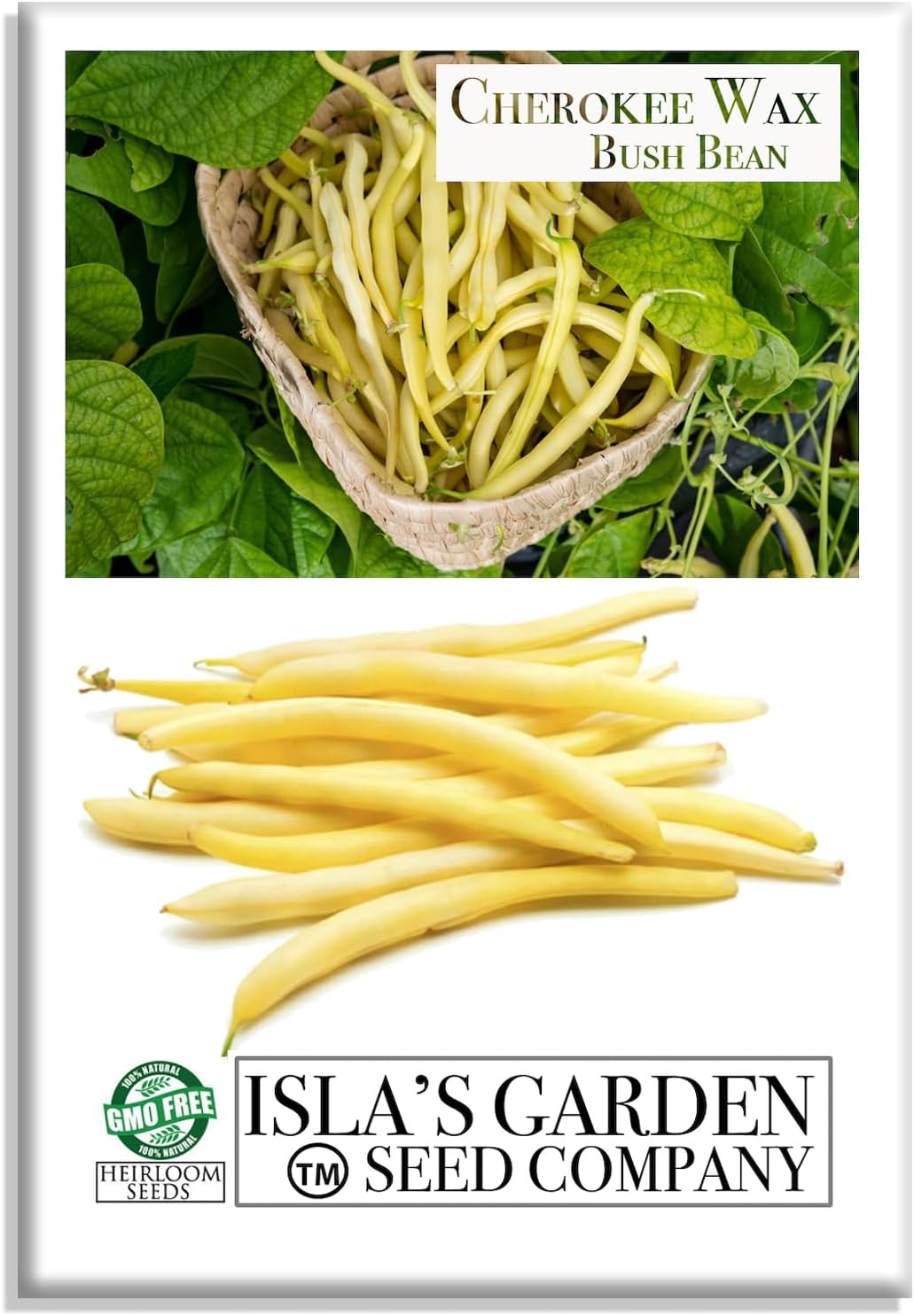 Amazon.com : Burpee Stringless Green Bean Seeds (Phaseolus vulgaris ...