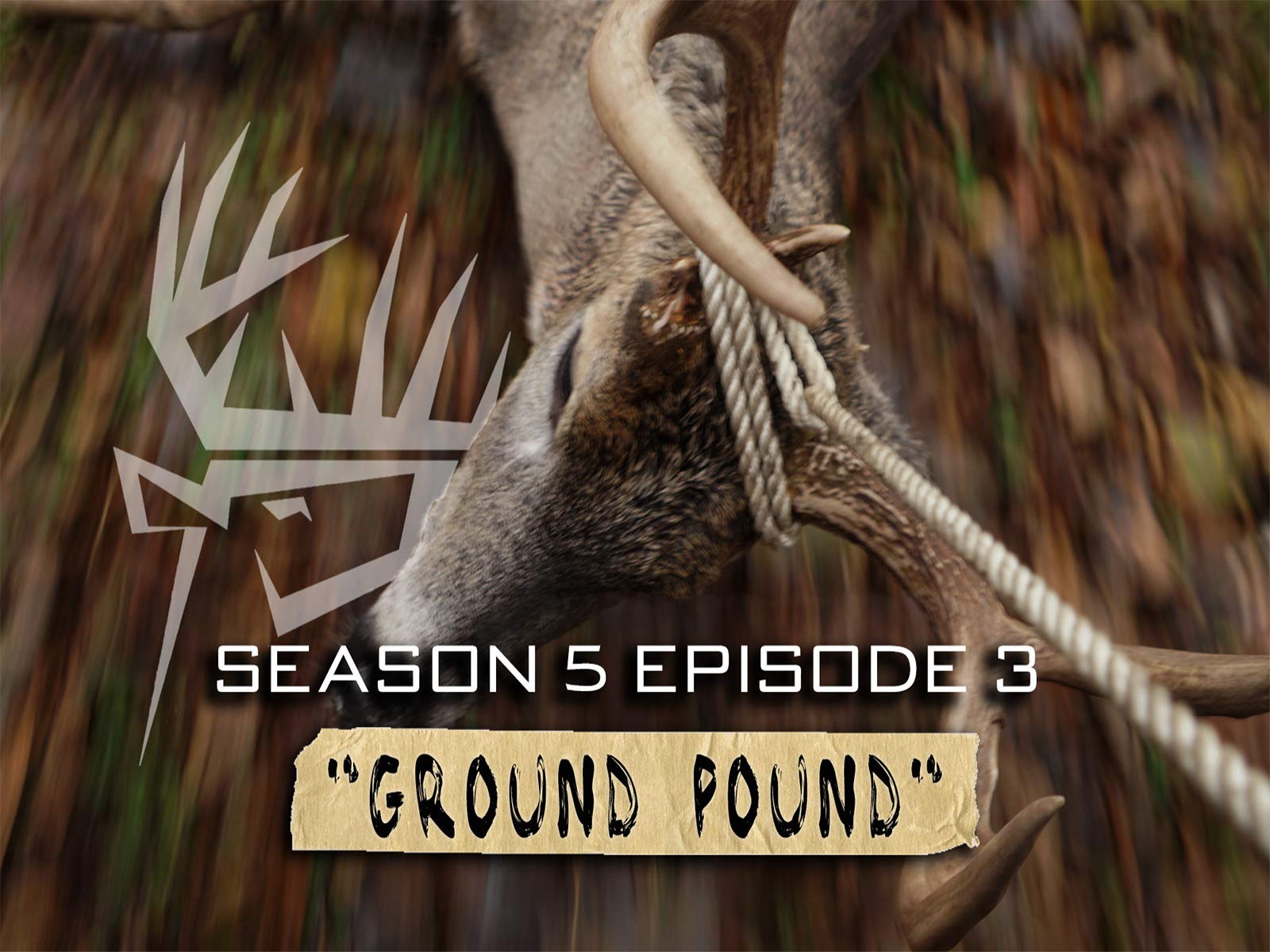 Watch The Breaking Point Tv | Prime Video