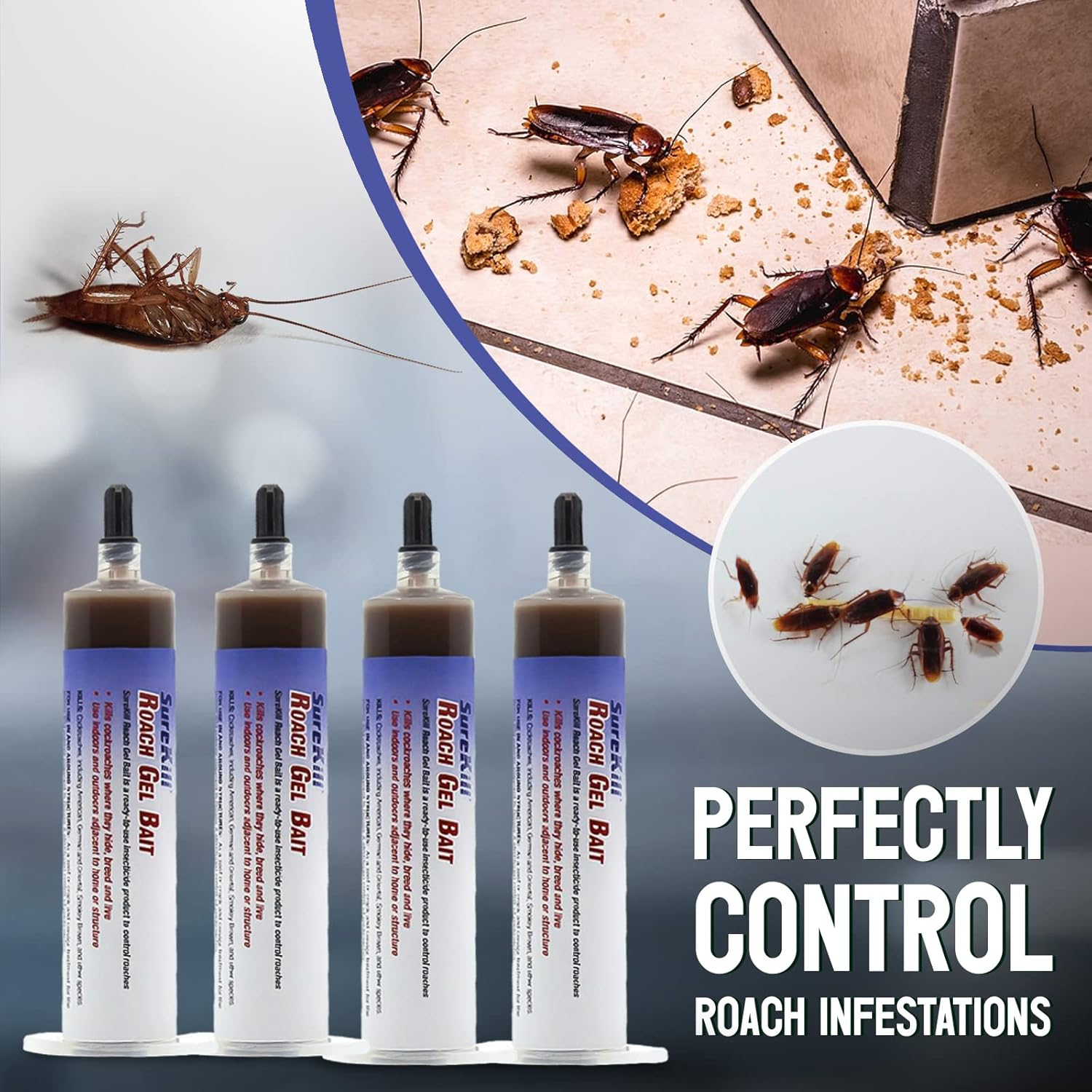 Buy Neogen Surekill Roach Gel Bait - Roach Killer - Cockroach Killer ...