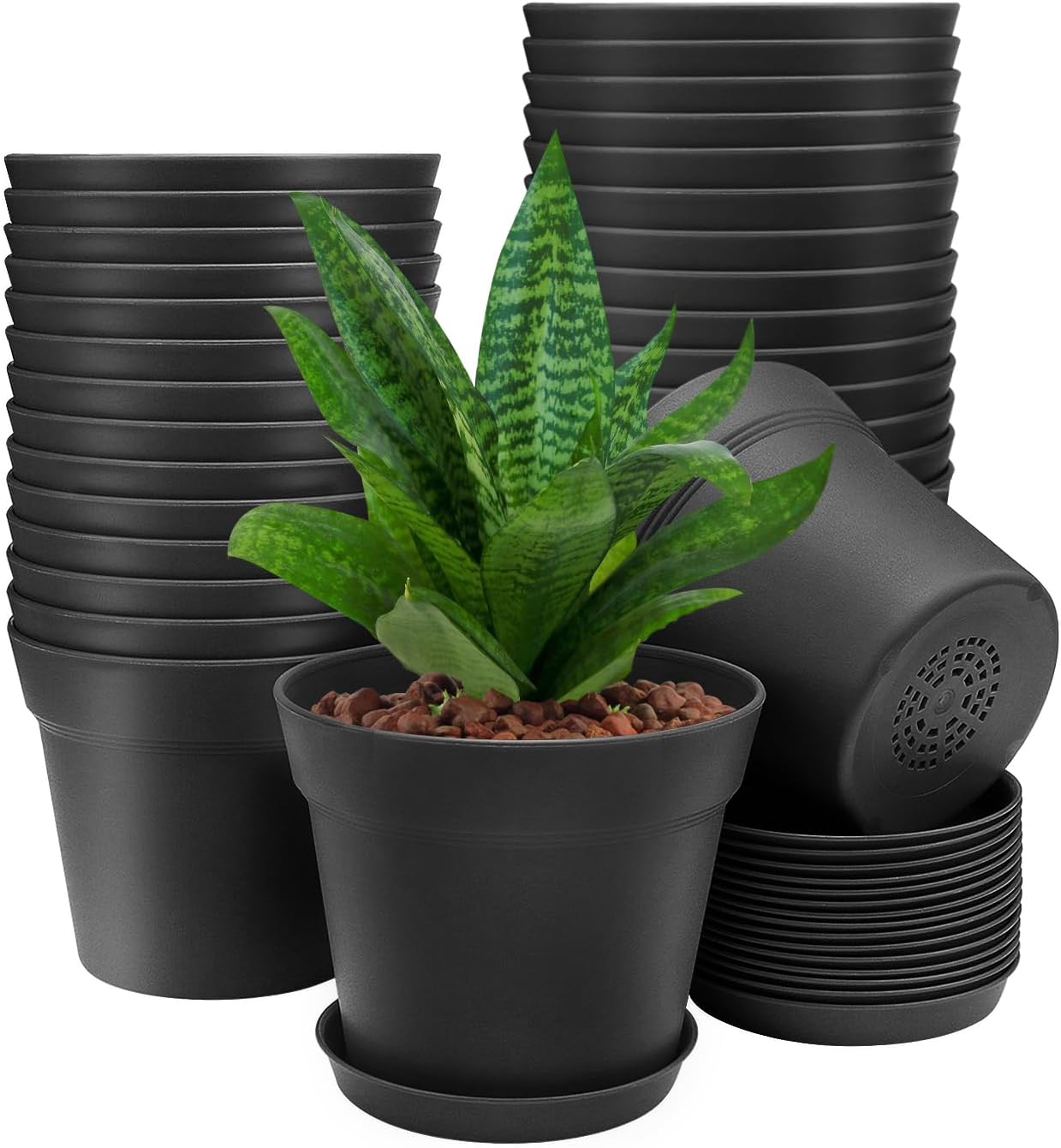 Amazon.com: IHDYPPEW 32 Packs 6 Inch Plastic Plant Pots, Plastic ...