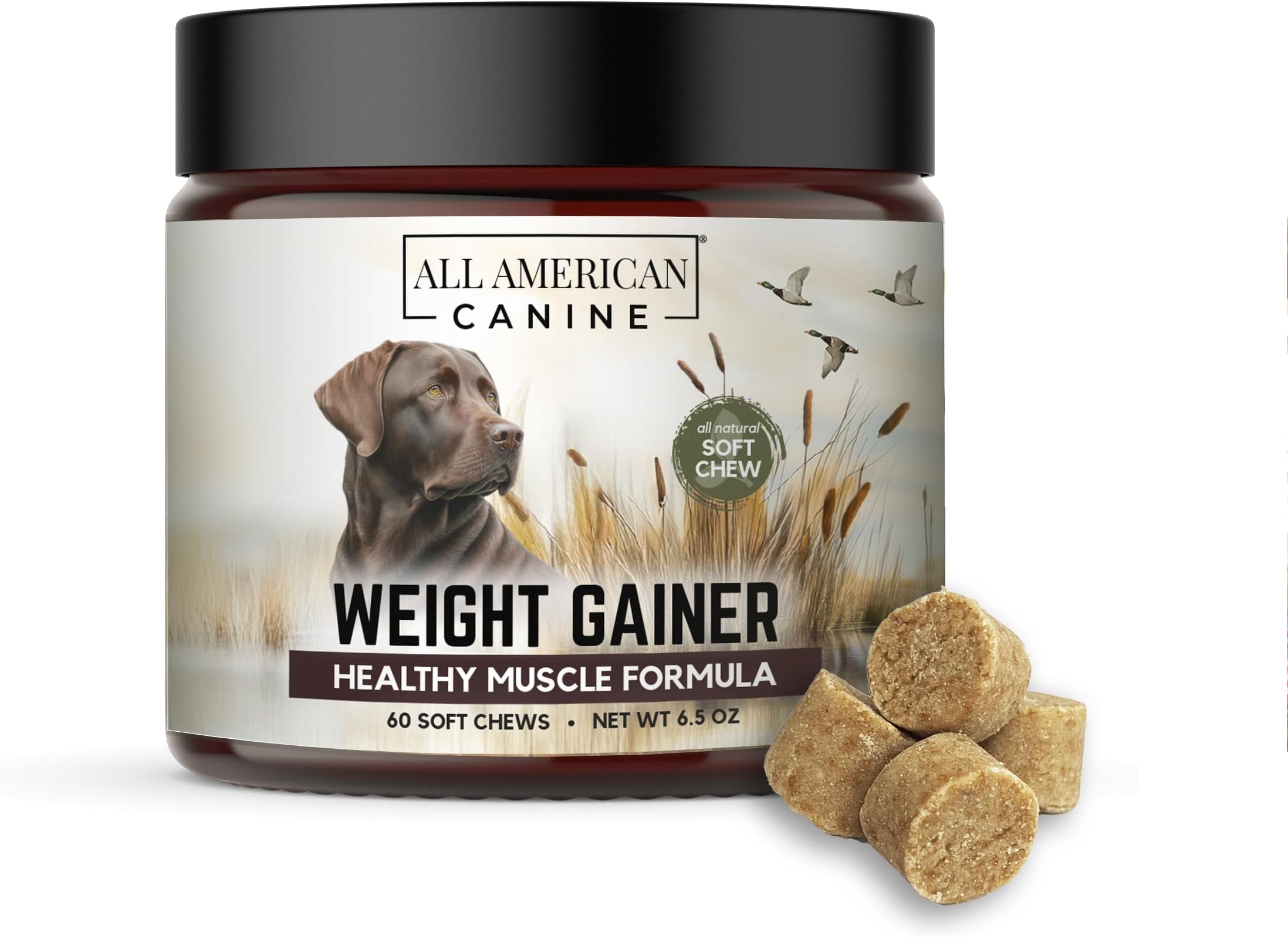 Amazon.com: MIRACLE VET 2-in-1 Weight Gain and Recovery Bundle for Dogs ...