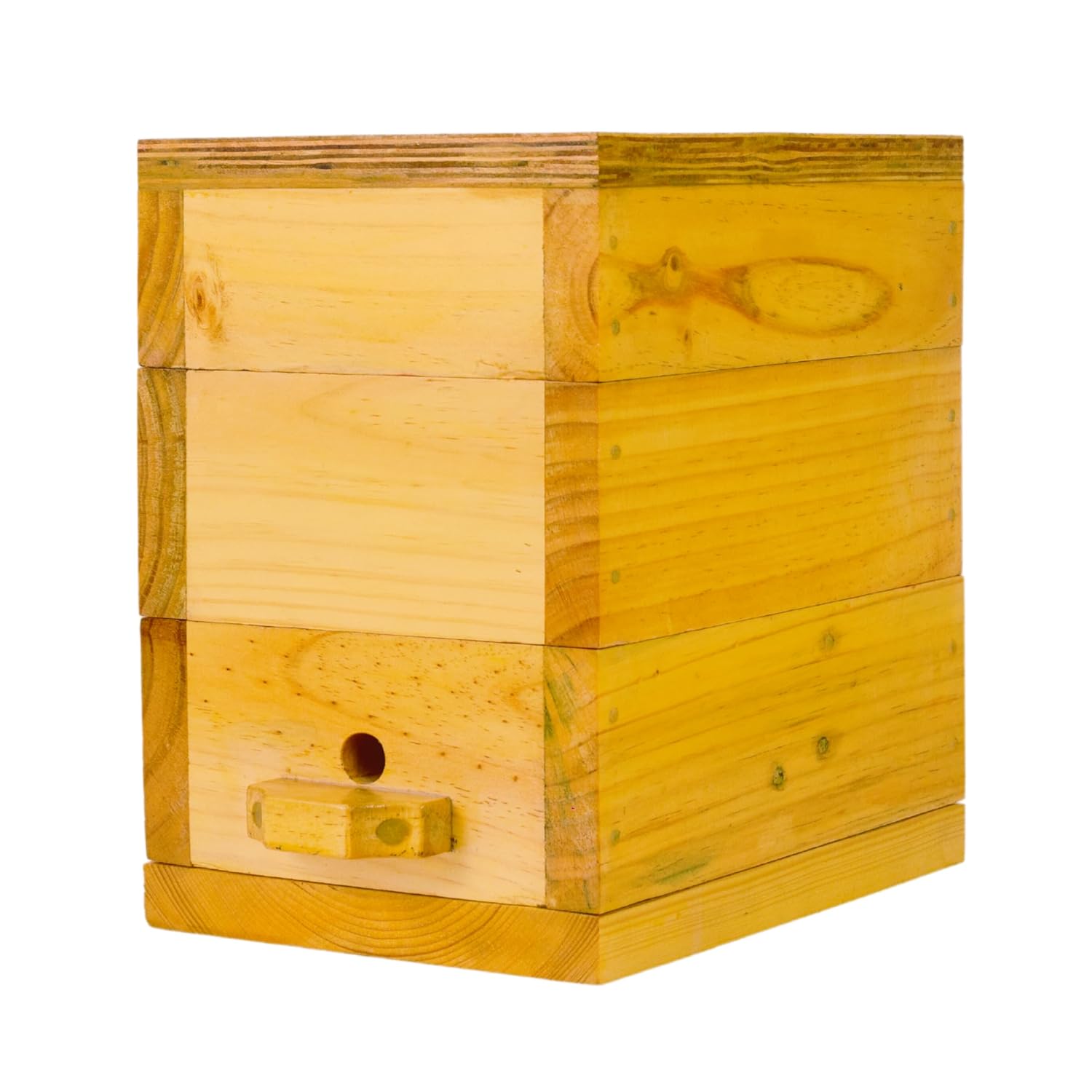DTC Wooden Stingless Bees Beehive Box: Your Sanctuary for Native ...