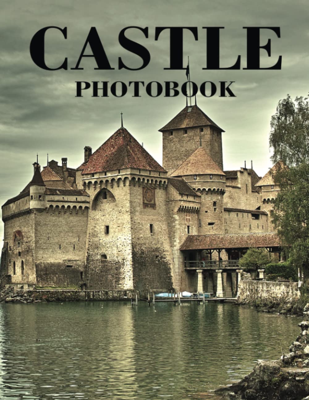 Buy The Picture Book Of Castle: Compelling Photos Of Castle Collection ...