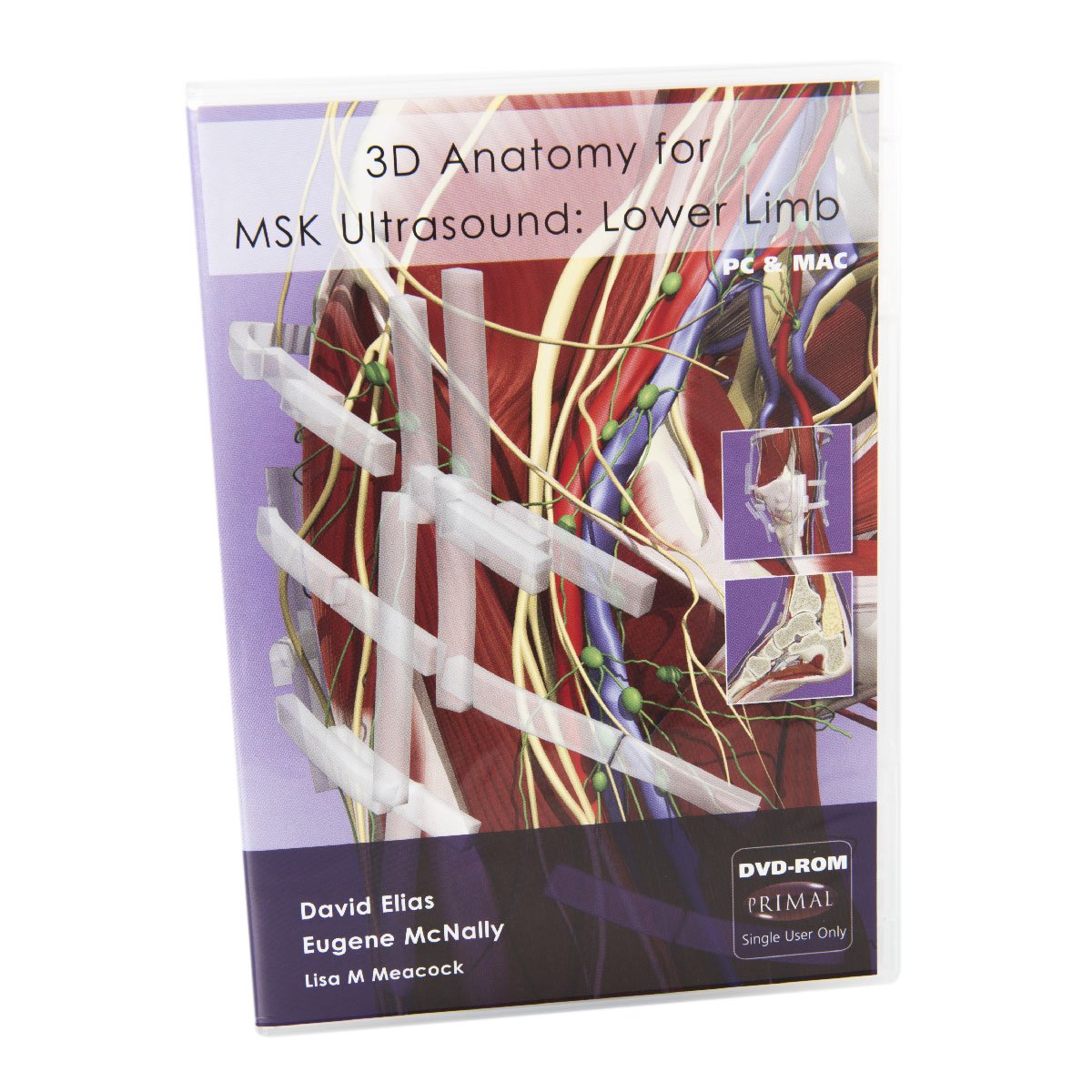 Primal Pictures W46676 3D Anatomy for Msk Ultrasound Lower Limb,Grade ...