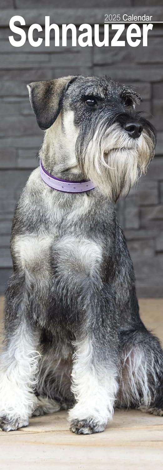 Amazon.co.jp: Schnauzer Slim Calendar 2025 Dog Breed Slimline Calendar ...