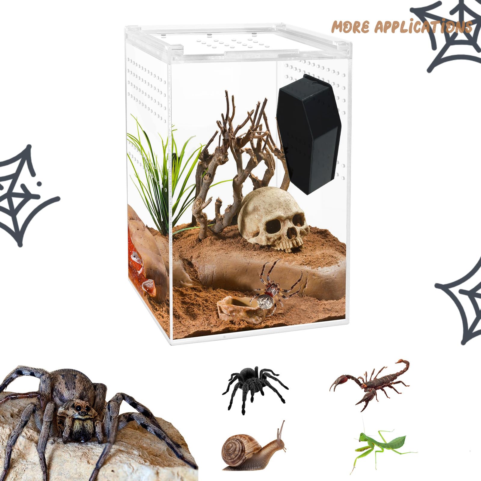 Reptile Bridge Magnetic Jumping Spider Enclosure With Rope Bridge ...