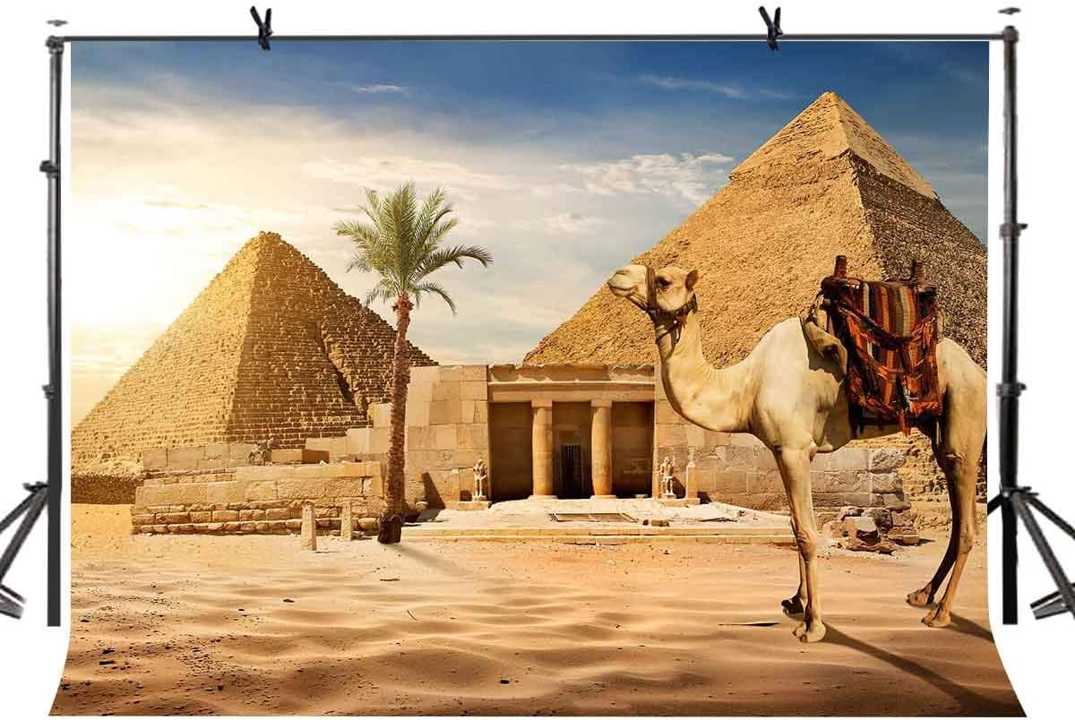 Amazon.com : CSFOTO Egyptian Pyramid Backdrop, 5x3ft, Vinyl Cloth, for ...