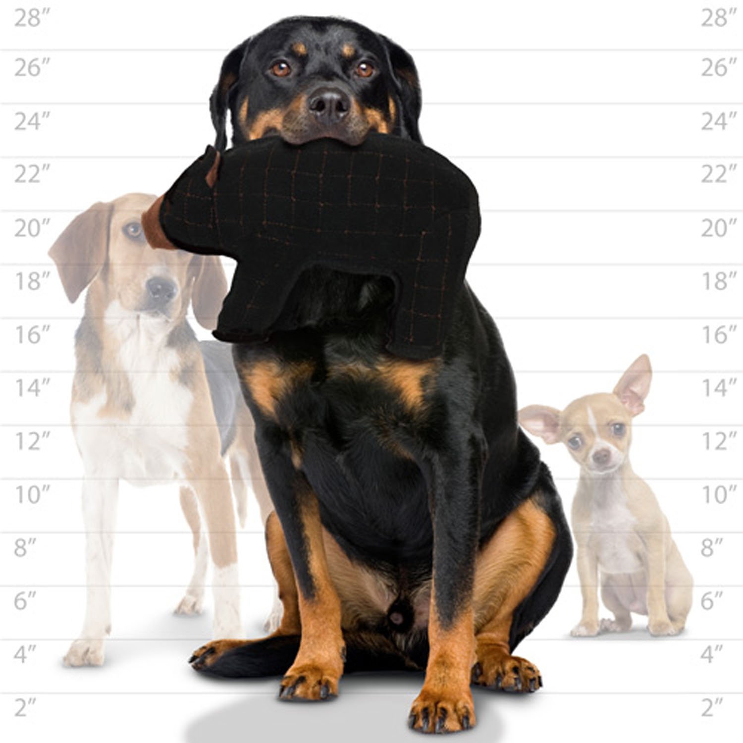 Snapklik.com : TUFFY - Worlds Tuffest Soft Dog Toy - Zoo Bear ...