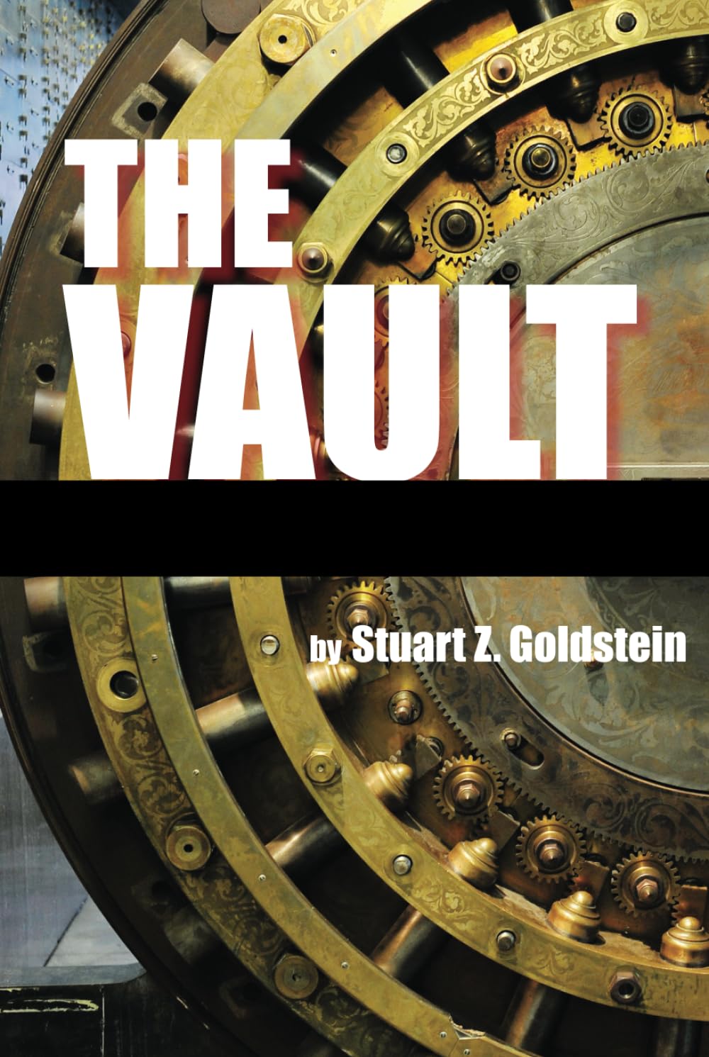 Amazon.com: The Vault: 9781736632246: Goldstein, Stuart Z.: Books