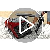 Amazon.de: Miele Blizzard CX1 Cat & Dog – Bodenstaubsauger ohne Beutel ...